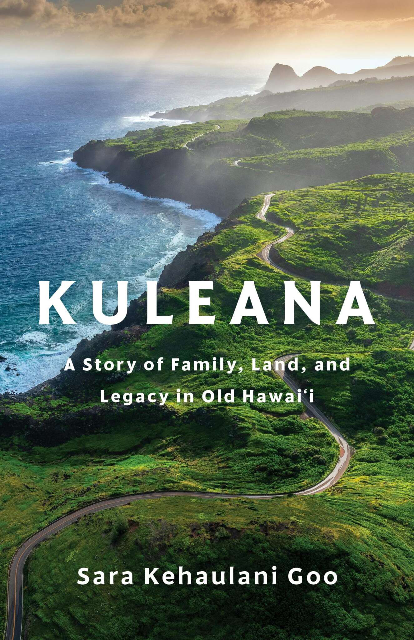 25 New 2025 Books by Asian and Pacific Islander Authors - DailyWaffle